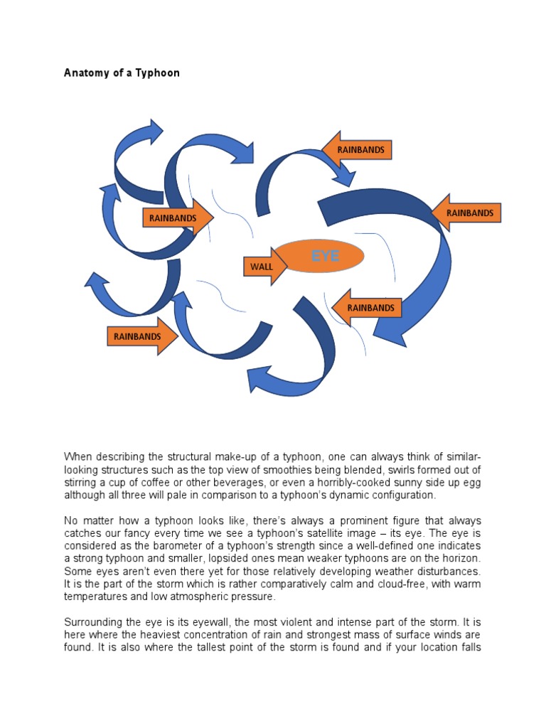 Anatomy of A Typhoon | PDF | Eye (Cyclone) | Tropical Cyclones