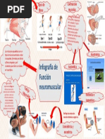 Informe Ecográfico Venoso Bilateral Pdf Pierna Humana Trombo