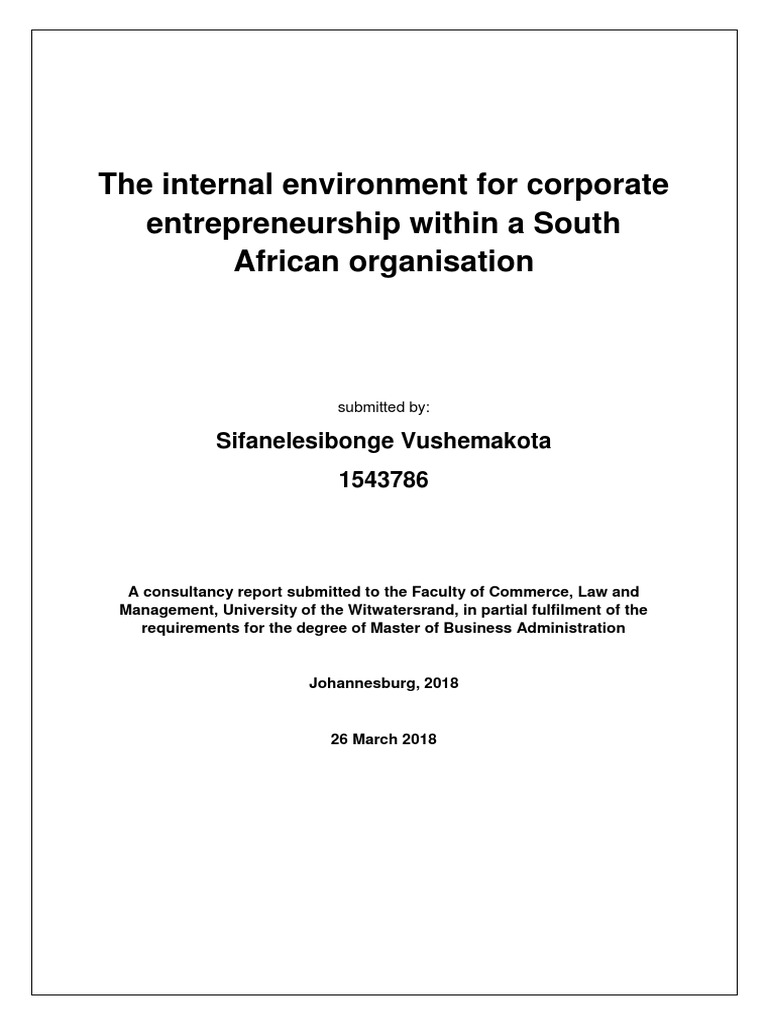 MBA Research Submission - Full | PDF | Innovation | Entrepreneurship