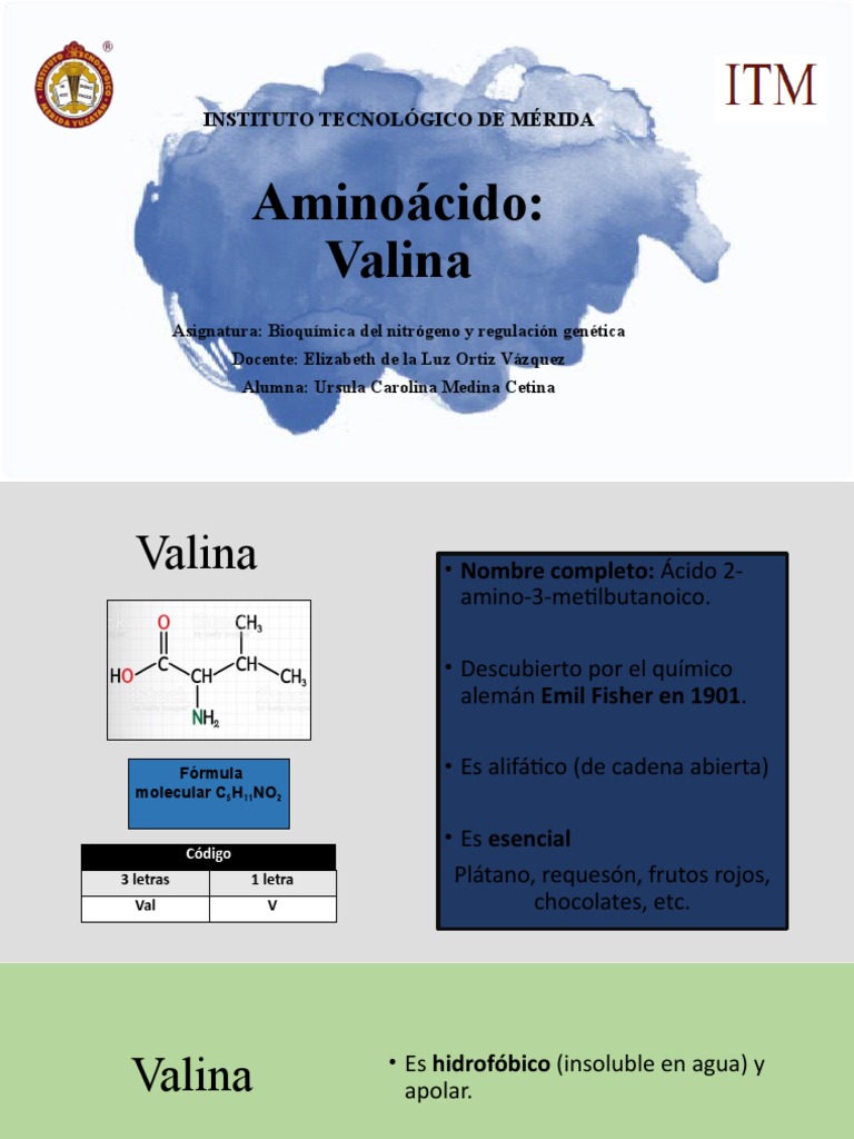 Aminoácido Valina | PDF