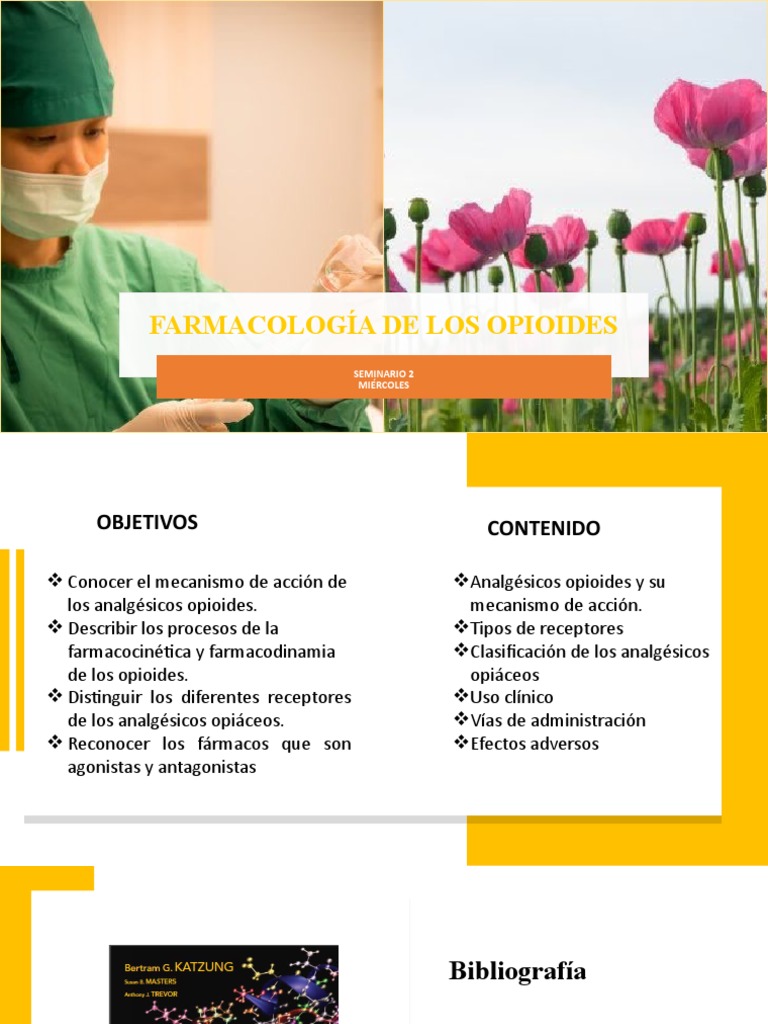 FARMACOLOGÍA DE LOS OPIOIDES | PDF | Opioide | Fentanilo
