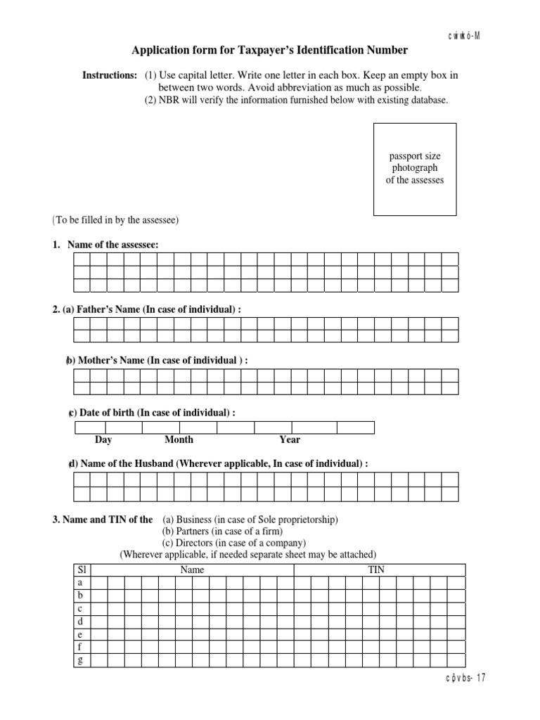 Application Form For Taxpayer's Identification Number | PDF ...