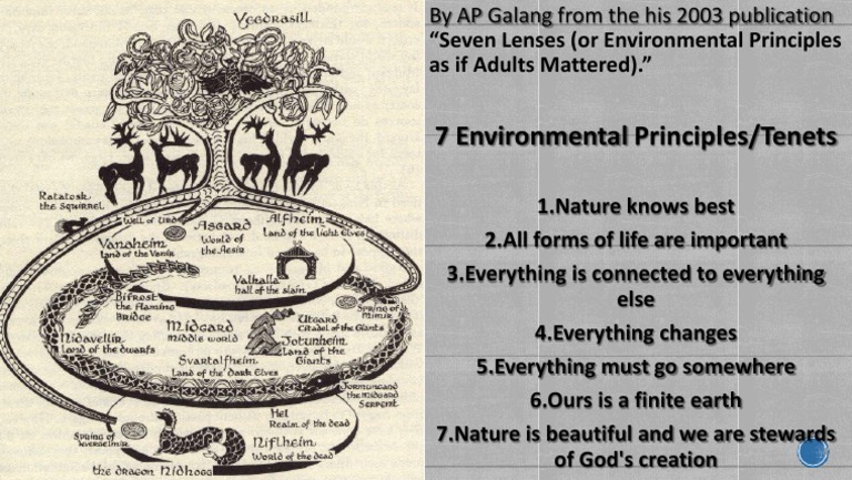7 Environmental Principles | PDF