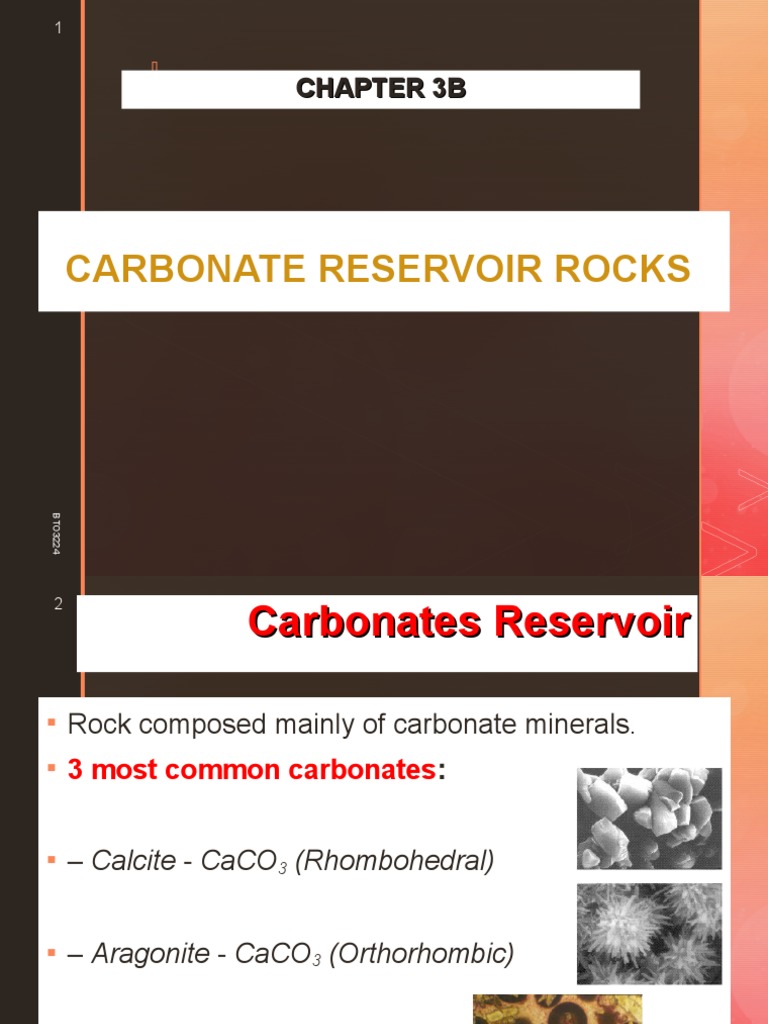 Carbonate Reservoir Rocks Overview | PDF | Limestone | Calcite
