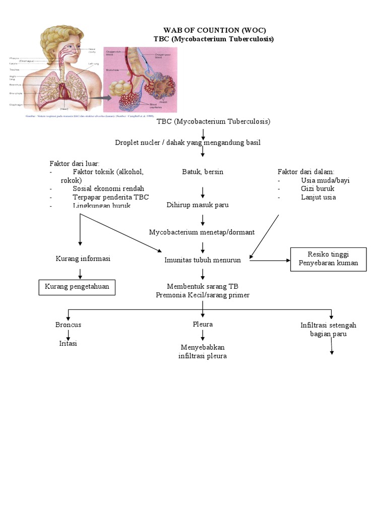 Woc TB Paru | PDF