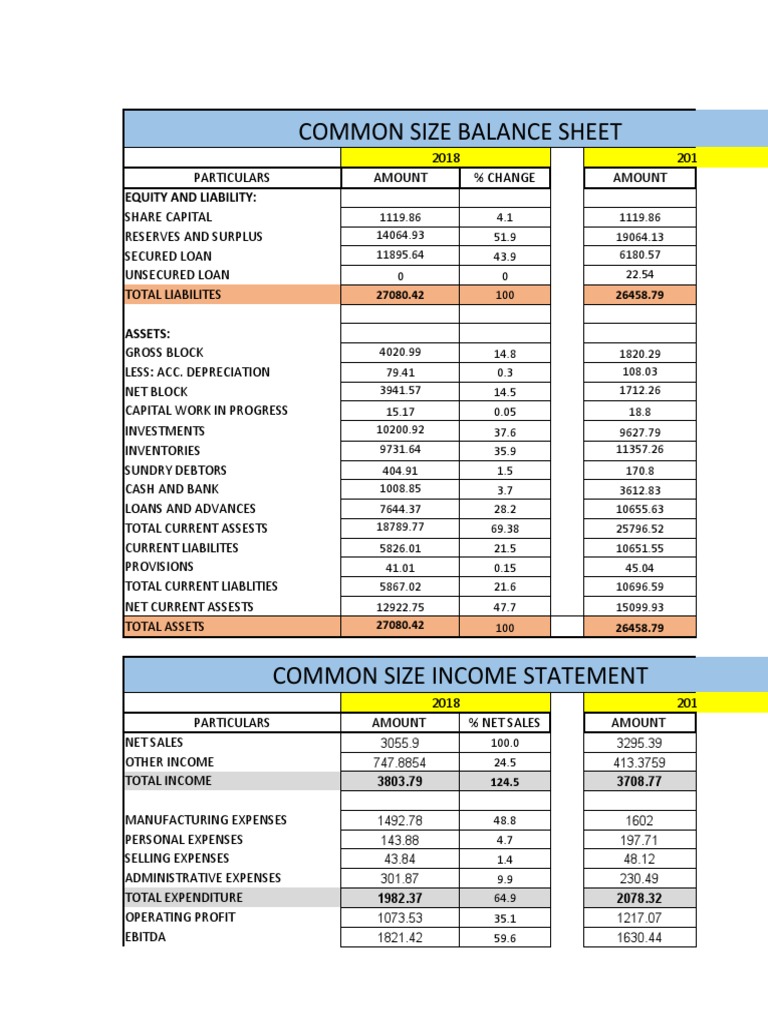 Common Size Balance Sheet: Equity and Liability | PDF | Expense ...