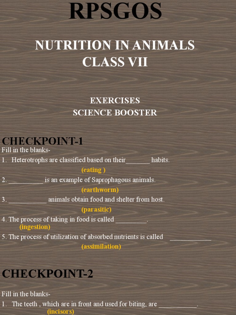Nutrition in Animals Exercises | PDF | Digestion | Ruminant