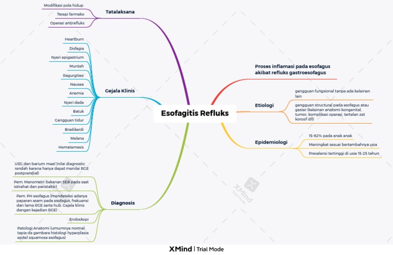 Esofagitis Refluks PDF | PDF