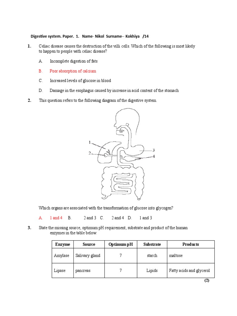 Digestive System p1 and p2. | PDF | Digestion | Human Digestive System