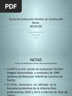 NCFAS Interpretación Ejemplo | PDF | Salud mental | Acción (filosofía)