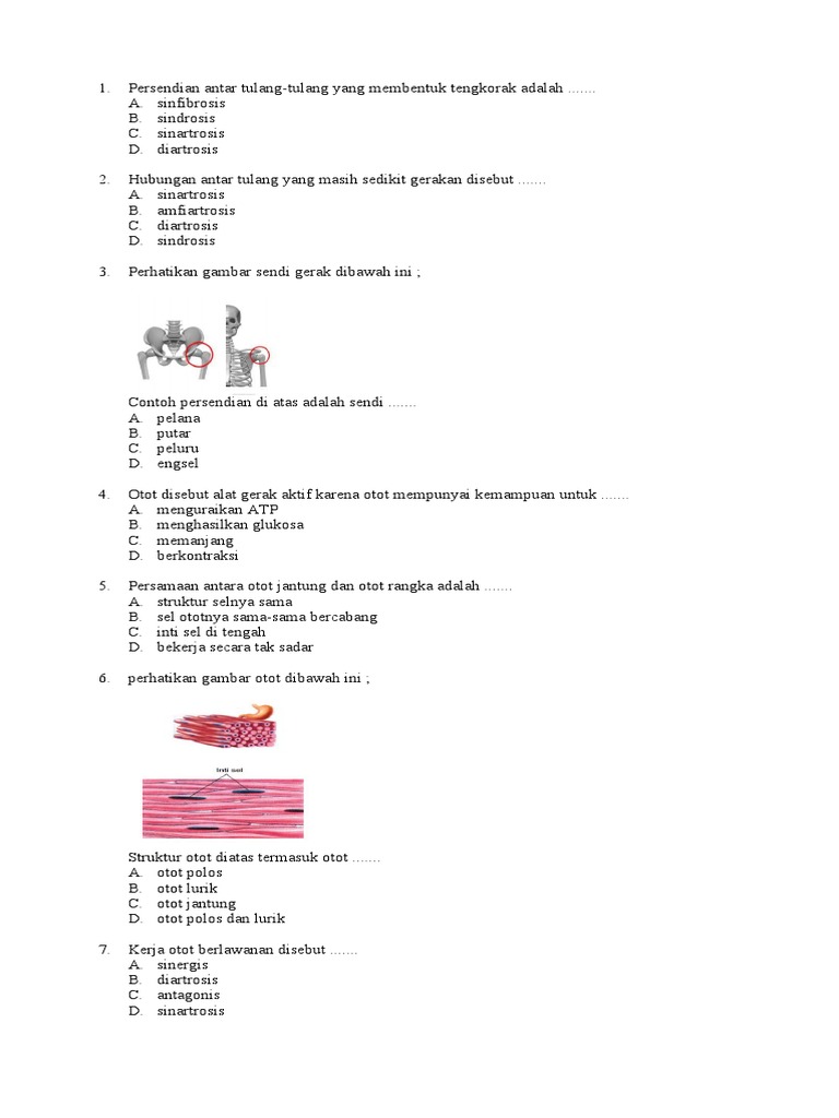 Soal Sendi Dan Otot | PDF