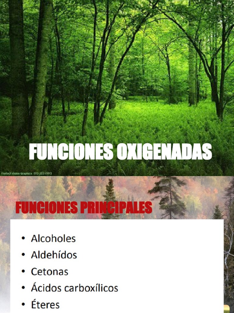Funciones Oxigenadas | PDF | Alcohol | Cetona
