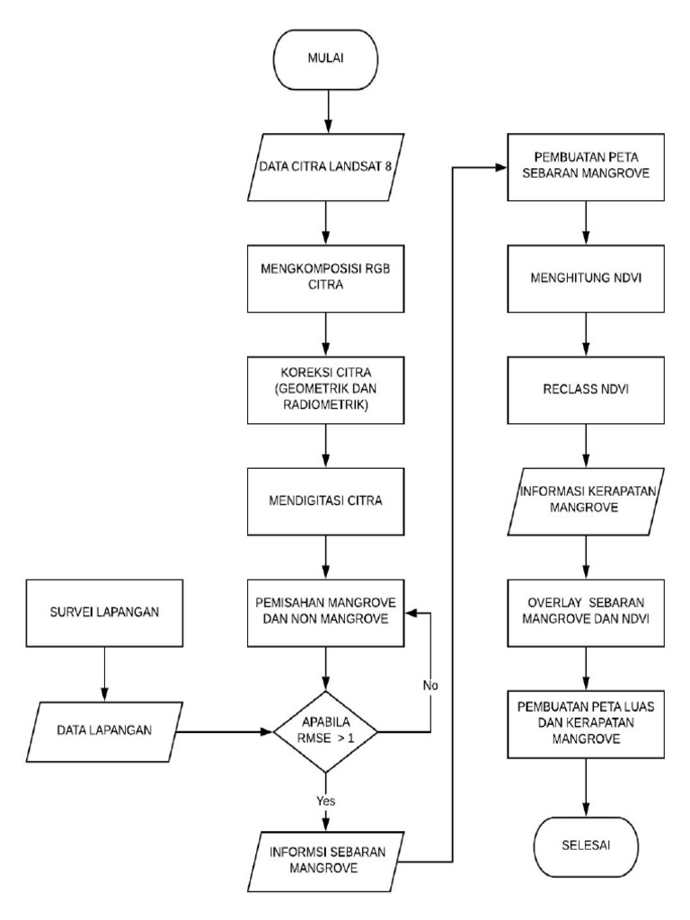 Desain Mangrove | PDF