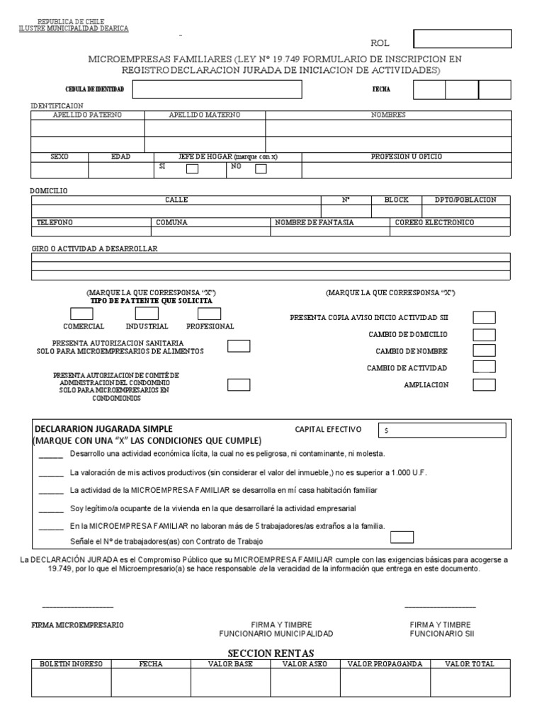Formulario MEF | PDF
