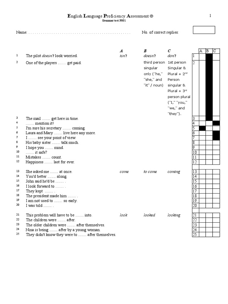 Grammar Test For Candidates | PDF | Grammatical Number