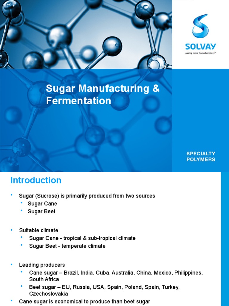 Sugar Manufacturing and Fermentation - Final | PDF | Sugarcane | Ethanol