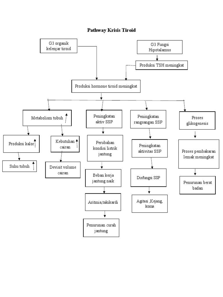Pathway Krisis Tiroid | PDF