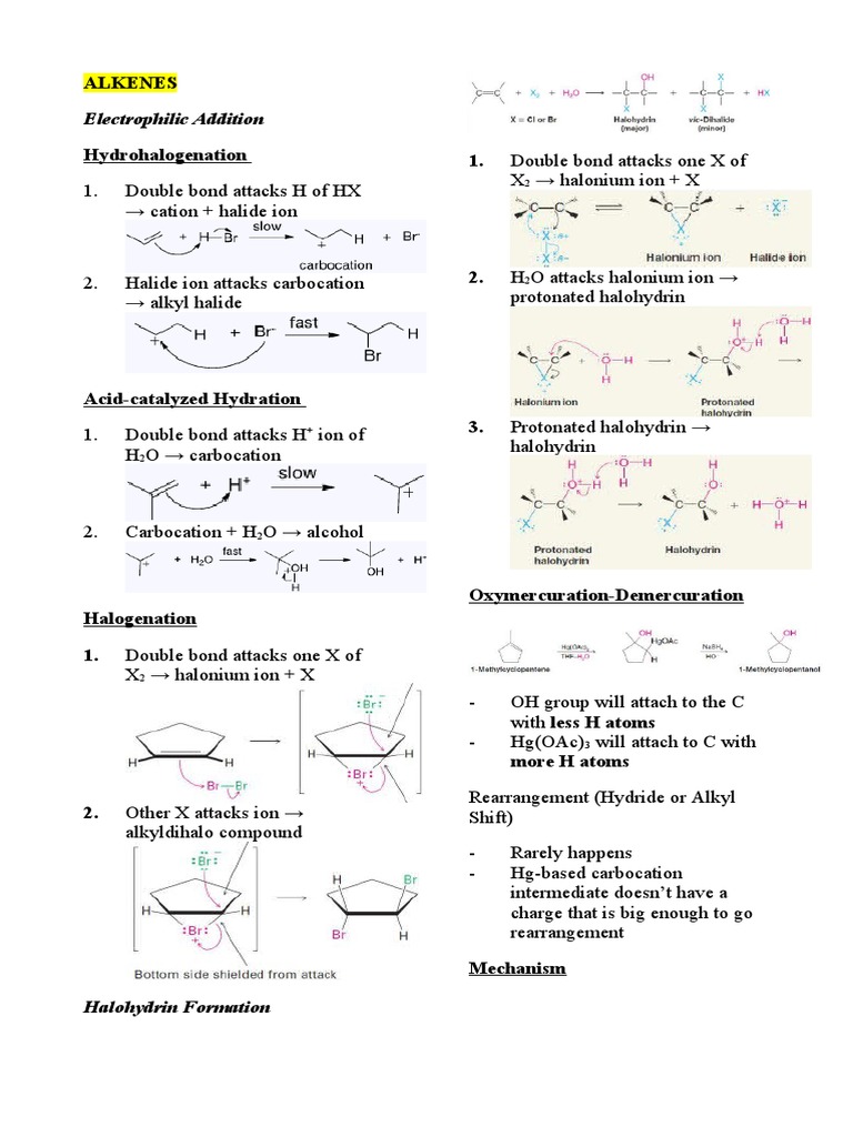Chem 31 Notes | Download Free PDF | Alkene | Organic Reactions