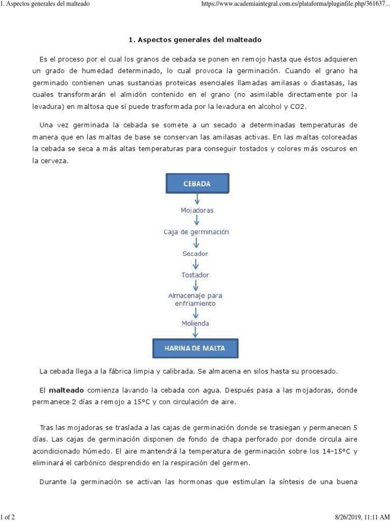 Aspectos Generales Del Malteado | PDF | Germinación | Malta