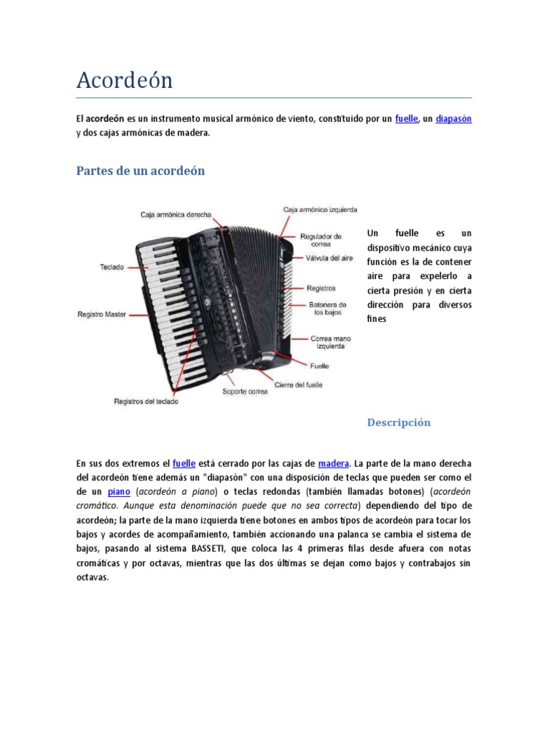 Acordeón | PDF | Acordeón | Naturaleza