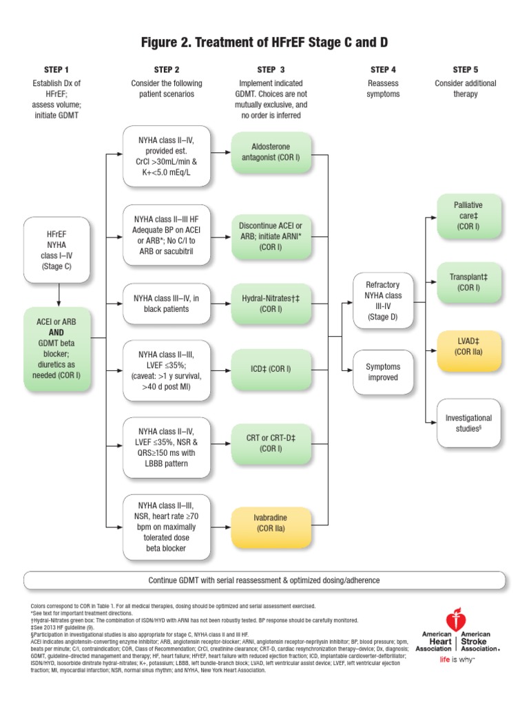 HFrEF Treatment Guidelines Overview | PDF | Heart Failure | Myocardial ...
