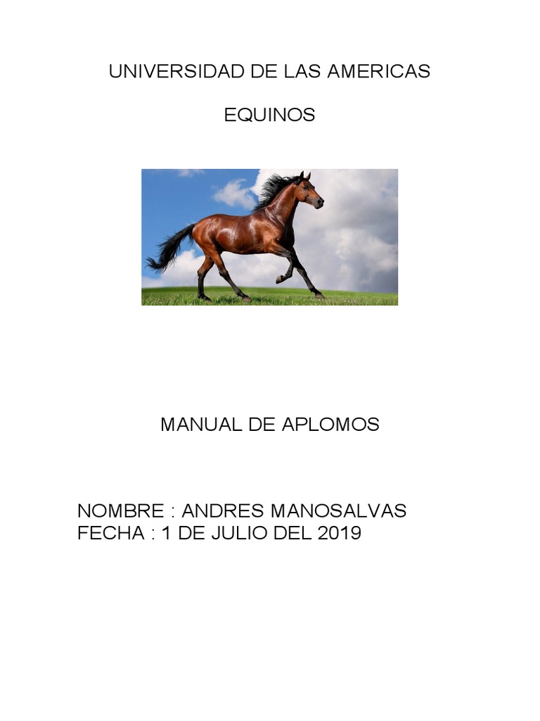 EQUINOS | PDF | Rodilla | Caballos