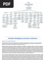 Efecto Poseiro | PDF | Placenta | Feto