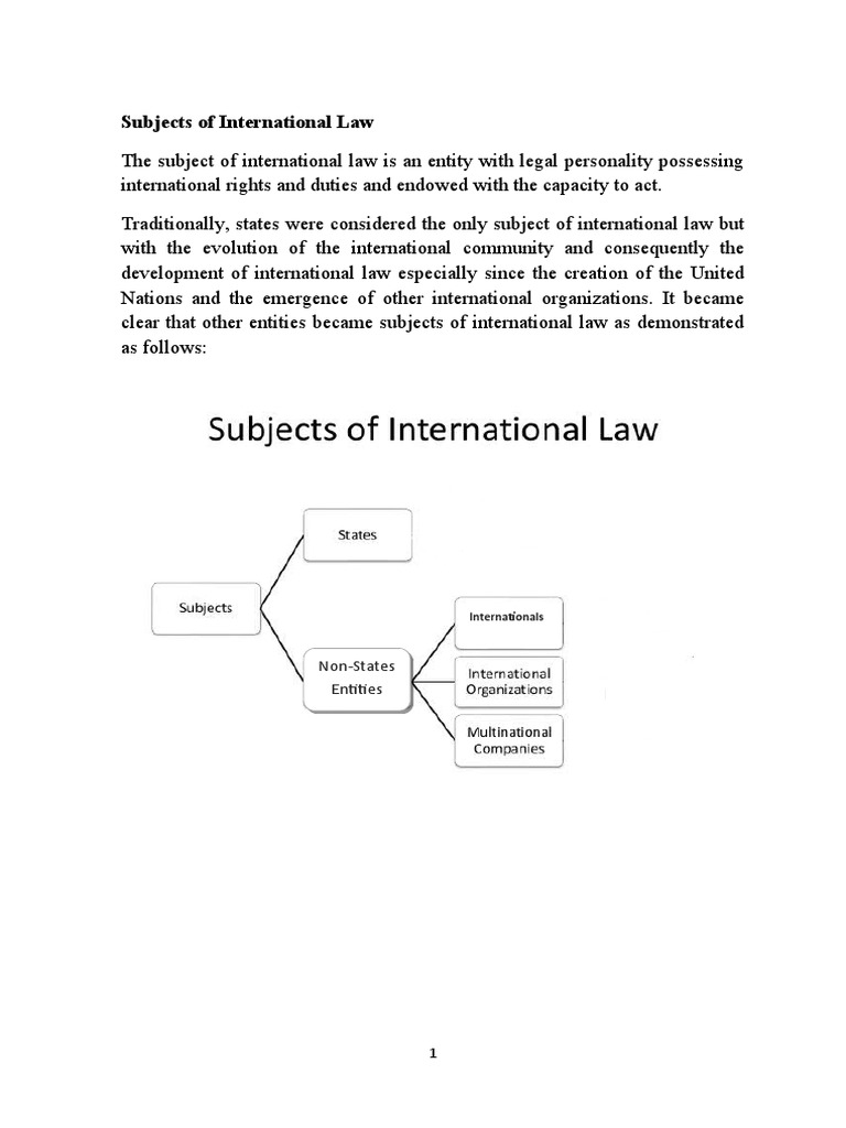 Subjects of International Law Explained | PDF | International Criminal ...
