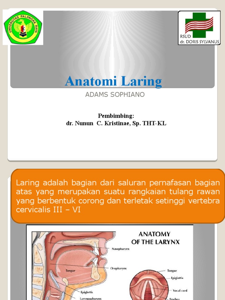 Anatomi Laring Asoph | PDF