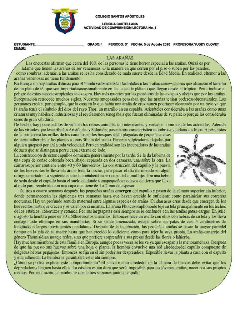 Comprensión Lectora1 | PDF | Araña | Abejas