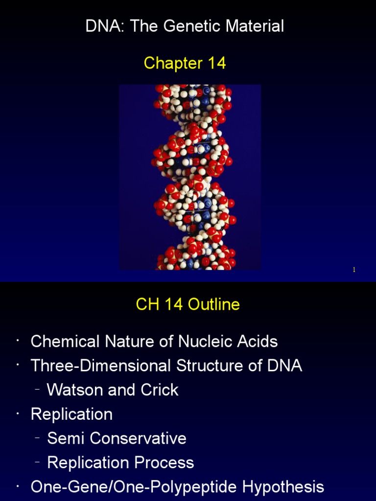 DNA: The Genetic Material | PDF | Dna Replication | Dna