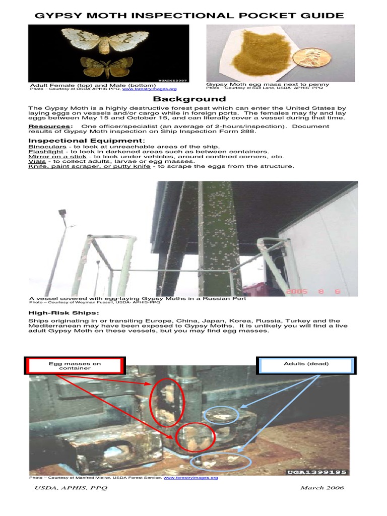 AGM Inspection Guide (USDA 2006.3) | PDF | Insects | Organisms