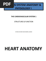 Cardiovascular System | PDF | Atrium (Heart) | Heart