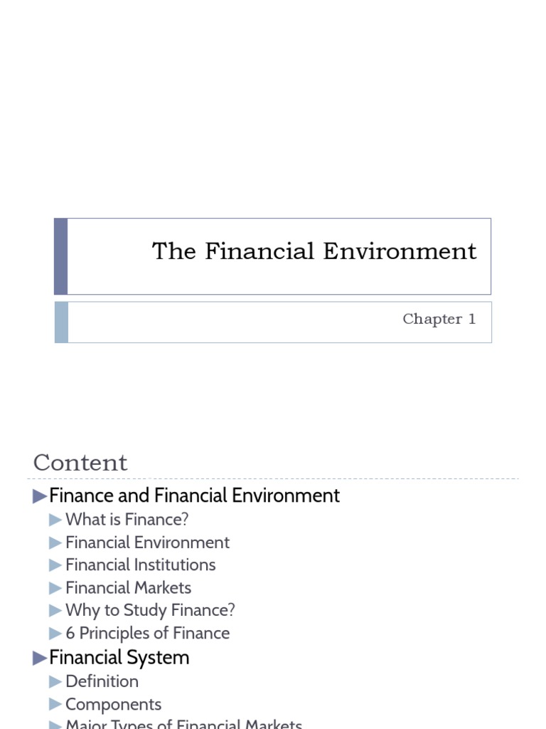 Chapter 1 Financial Environment | PDF | Financial Markets | Securities ...