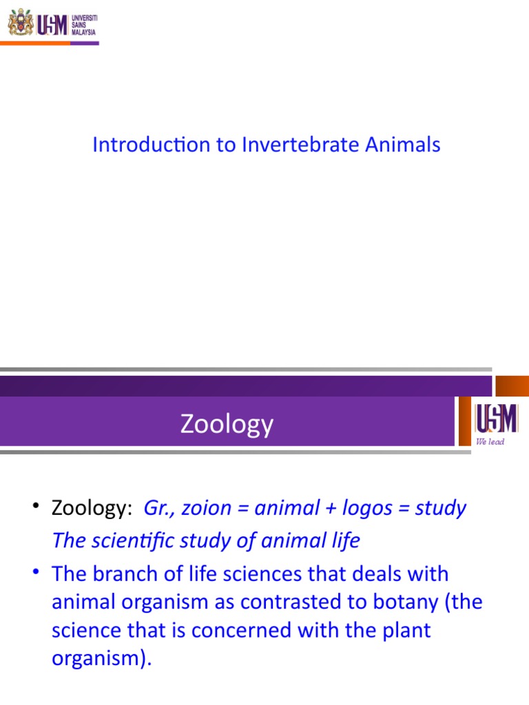 Introduction to Invertebrate Zoology | PDF | Invertebrate | Organisms