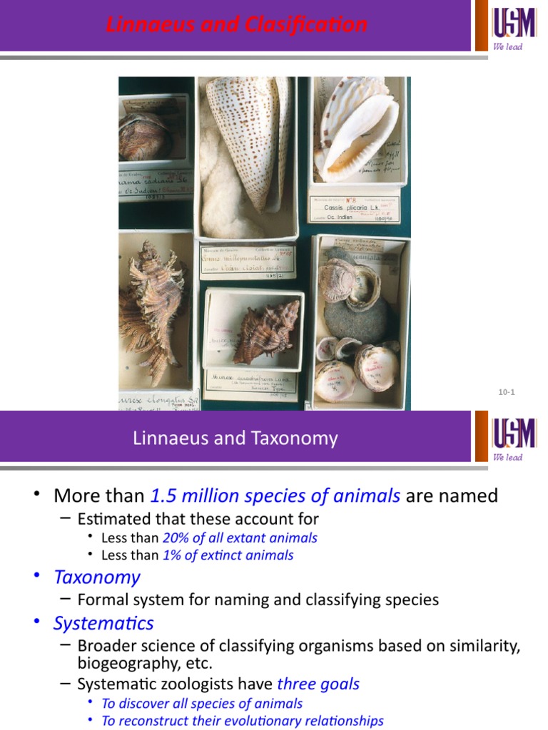 Lecture 2 Linnaeus and Classification | PDF | Taxonomy (Biology) | Species