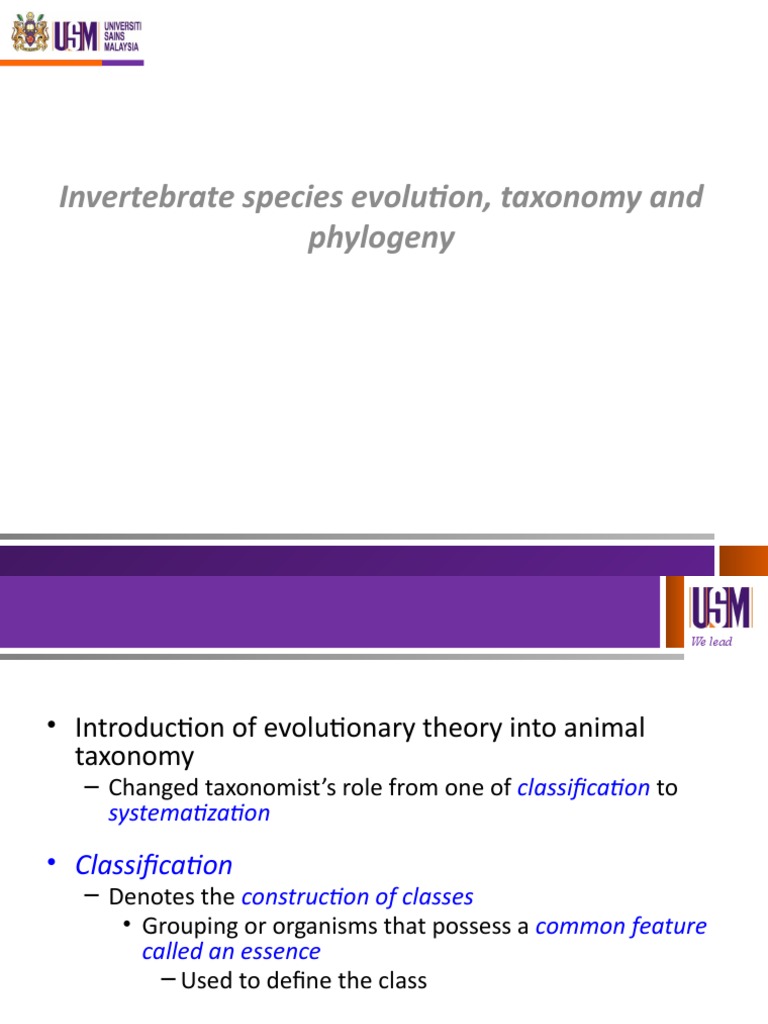 Invertebrate Species Evolution, Taxonomy and Phylogeny | PDF | Taxonomy ...