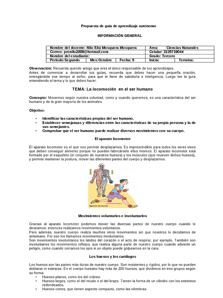 Guía de Aprendizaje: Locomoción Humana | PDF | Articulación | Tórax