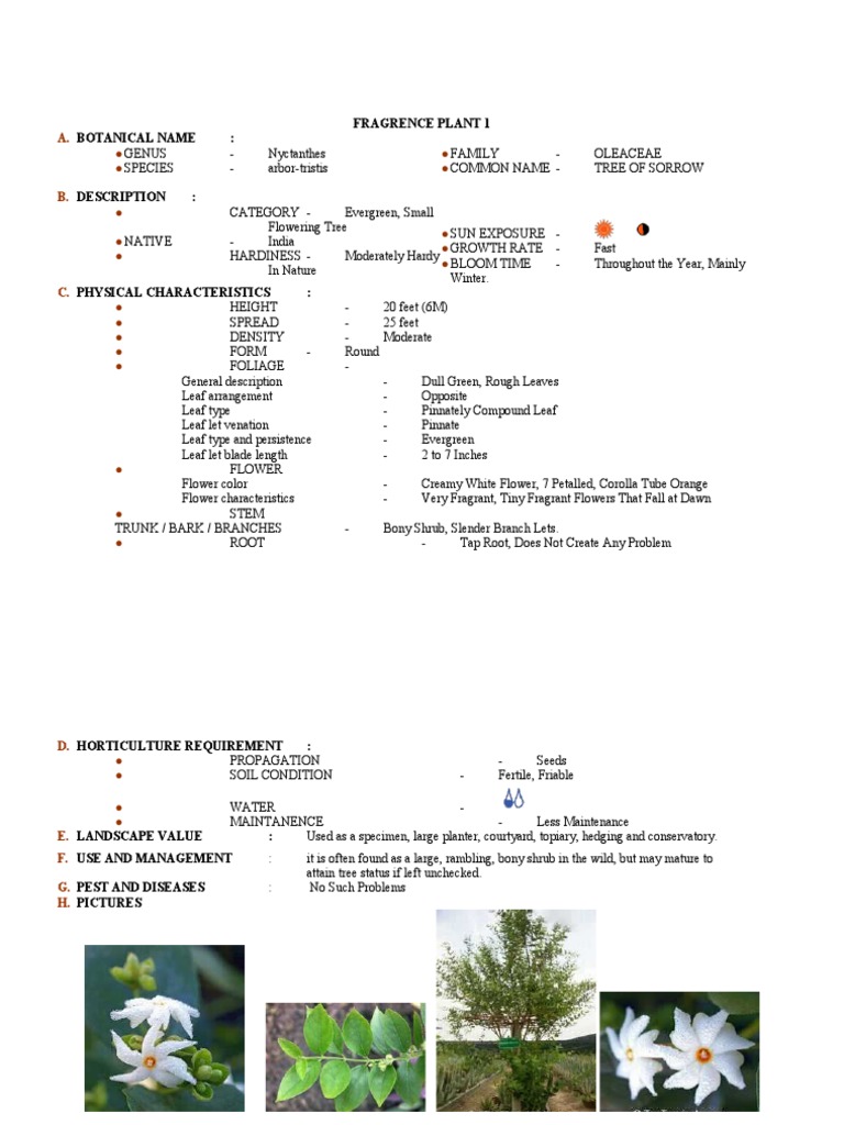 Data Sheet Format | PDF | Leaf | Trees
