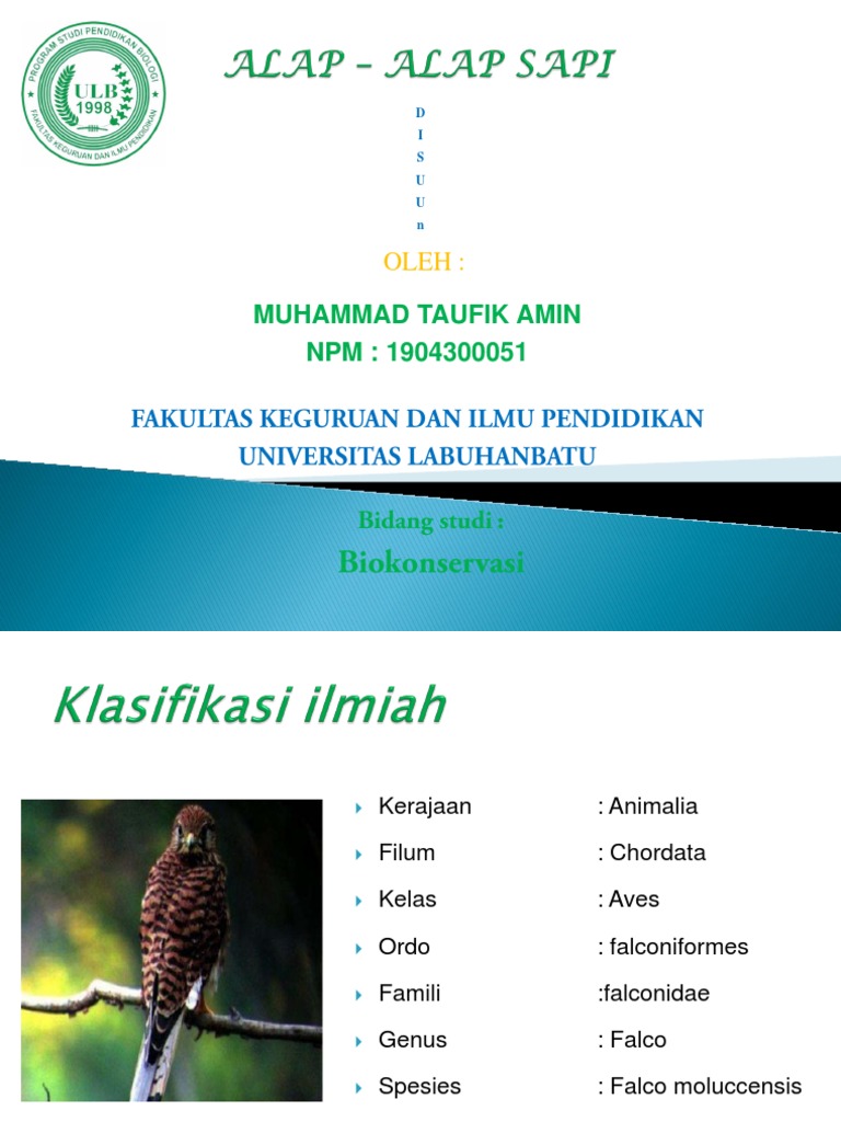 Alap-Alap Sapi P | PDF