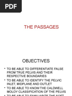 Female Pelvis Diameters Explained | PDF