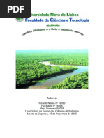 Importância Dos Mangais para o Meio Ambiente | PDF | Mangue | Ambiente ...