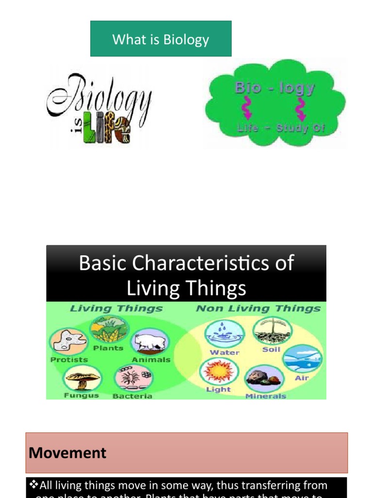 Basic Characteristics of Living Things | PDF | Reproduction | Life
