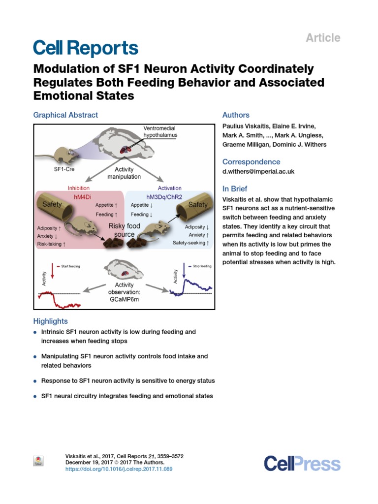 Modulation of SF1 Neuron Activity Coordinately Regulates Both Feeding ...