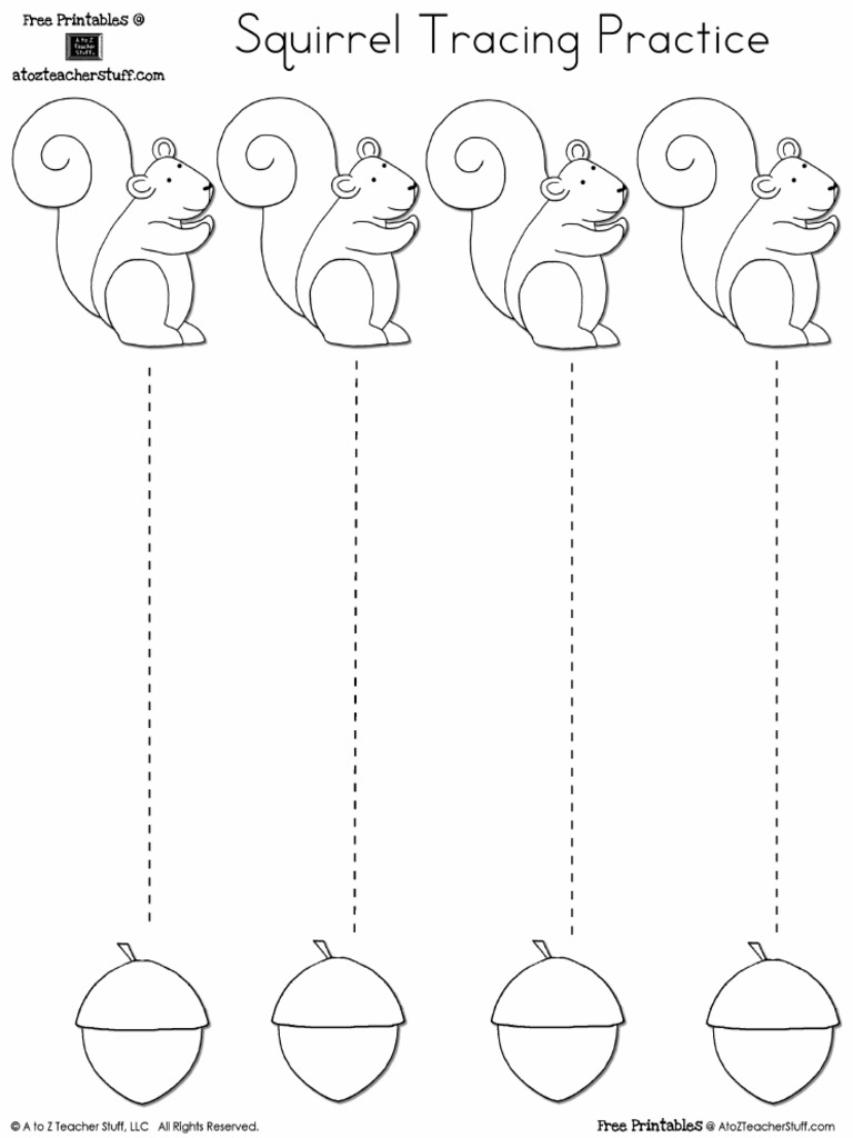 Fisa Puncte Veverita PDF | PDF