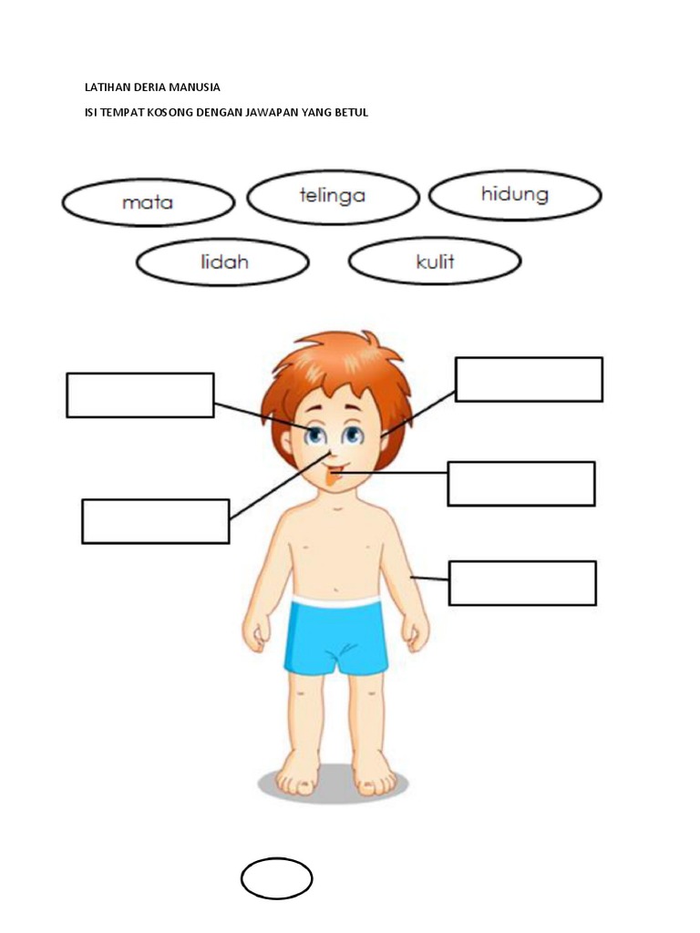Latihan Deria Manusia | PDF