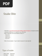 Managing Poisonous Snake Bites in Dogs | PDF | Snake | Acetylcholine
