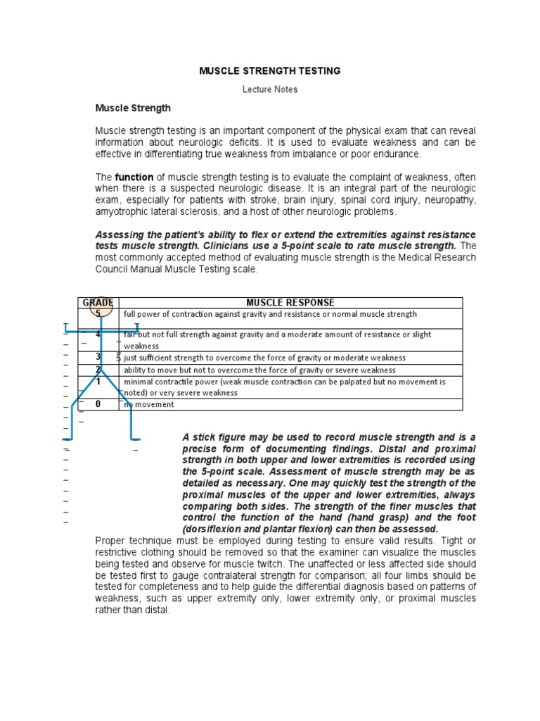 Muscle Strength Testing | PDF | Hand | Anatomical Terms Of Motion
