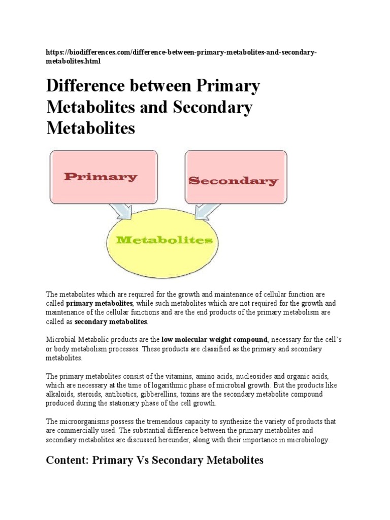 Primary vs Secondary Metabolites Explained | PDF | Metabolite | Metabolism