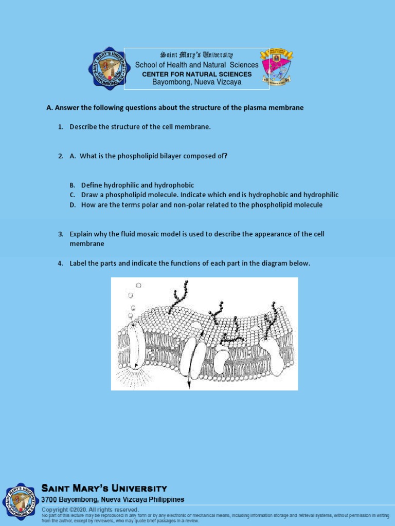 Worksheet On Passage of MAterials Across Biological Membranes | PDF ...